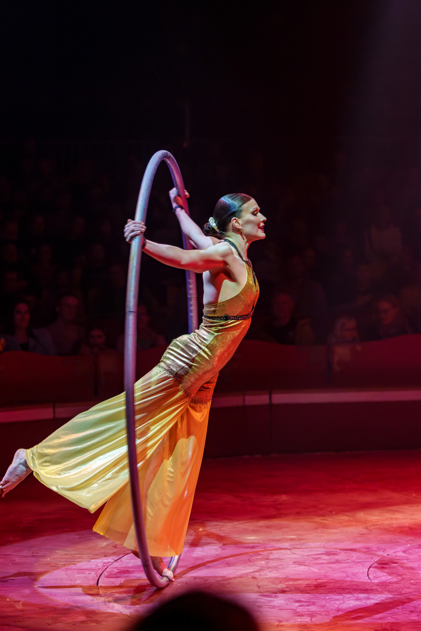 Sirkus Finlandia - Finnish National Circus