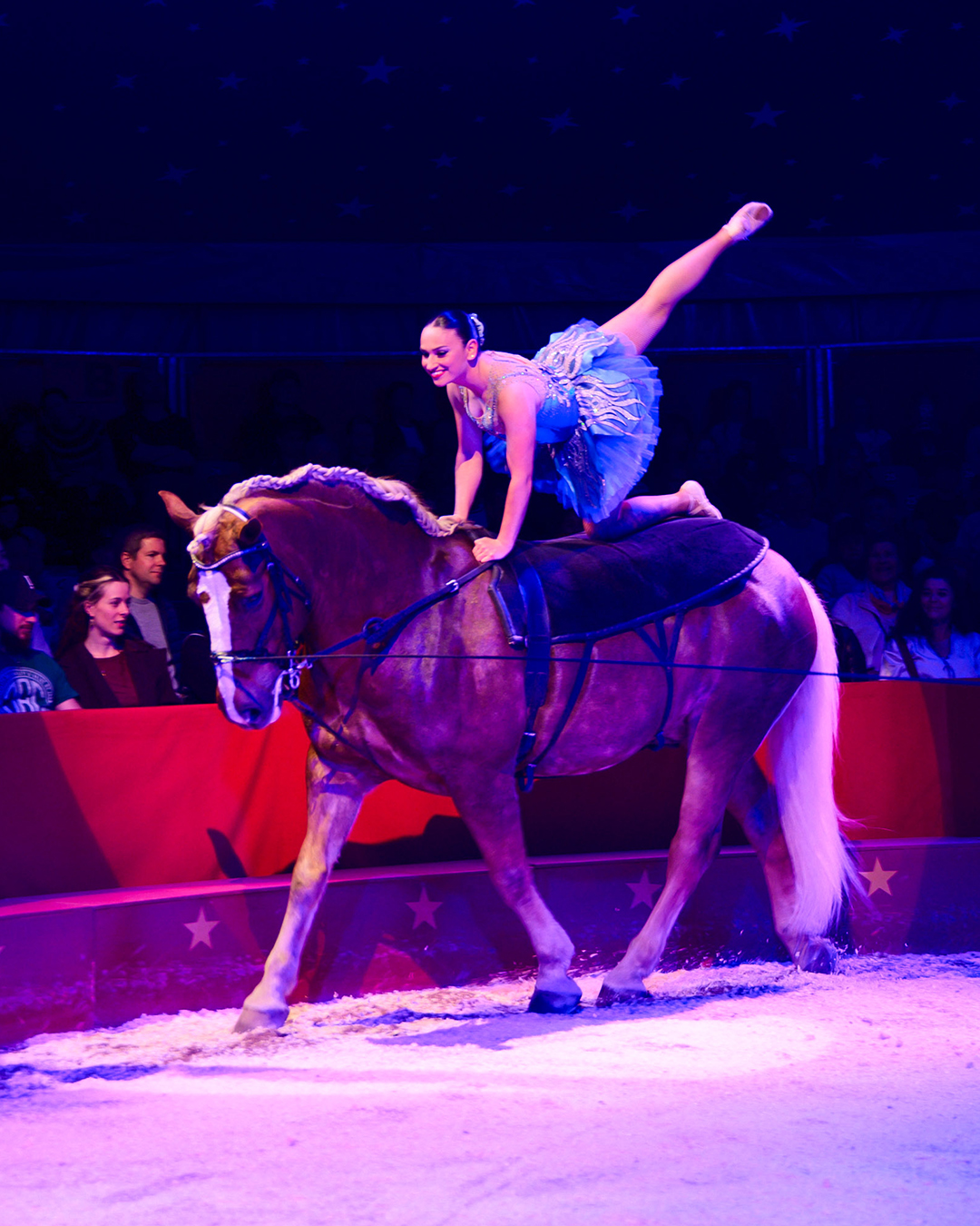 Sirkus Finlandia - Finnish National Circus